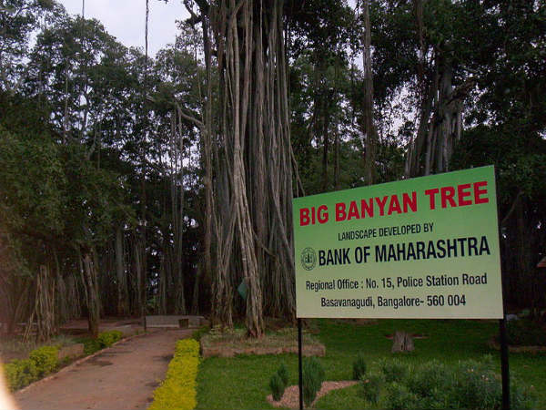 ಸಾವನದುರ್ಗದಿಂದ ದೊಡ್ಡ ಆಲದಮರ | Savandurga to big banyan tree - Kannada ...