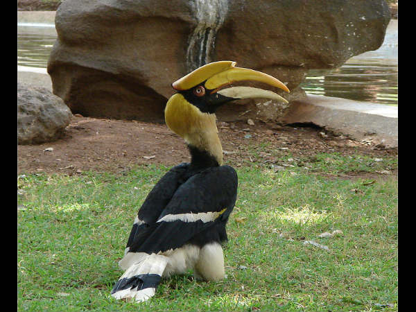 ಮೈಸೂರಿನಲ್ಲೊಂದು ಸುಂದರ ಕೆರೆ | Karanji lake the colorful picnic spot ...