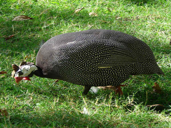 ಮೈಸೂರಿನಲ್ಲೊಂದು ಸುಂದರ ಕೆರೆ | Karanji lake the colorful picnic spot ...